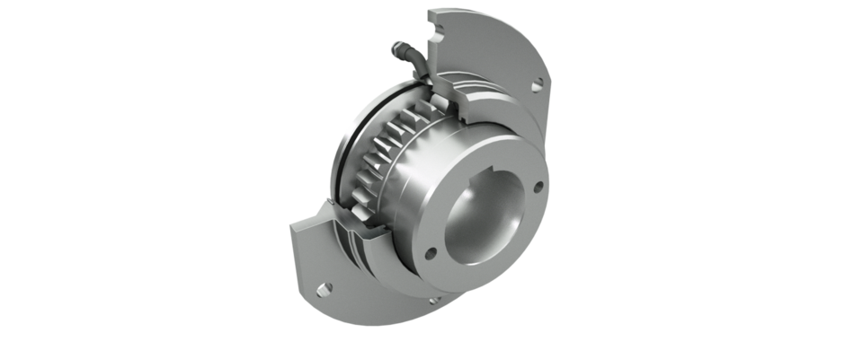 Gear couplings - RENK