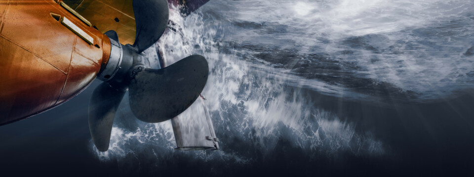 Our marine services - RENK